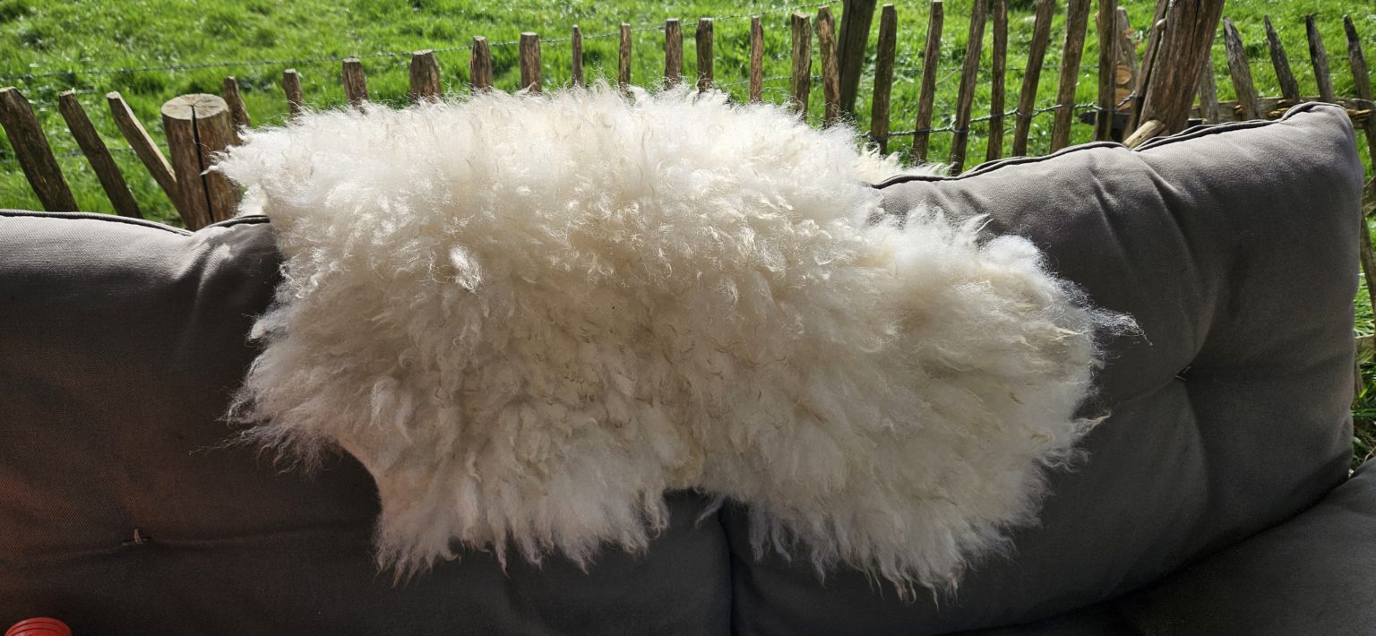 Vacht wit ‘Lilly’